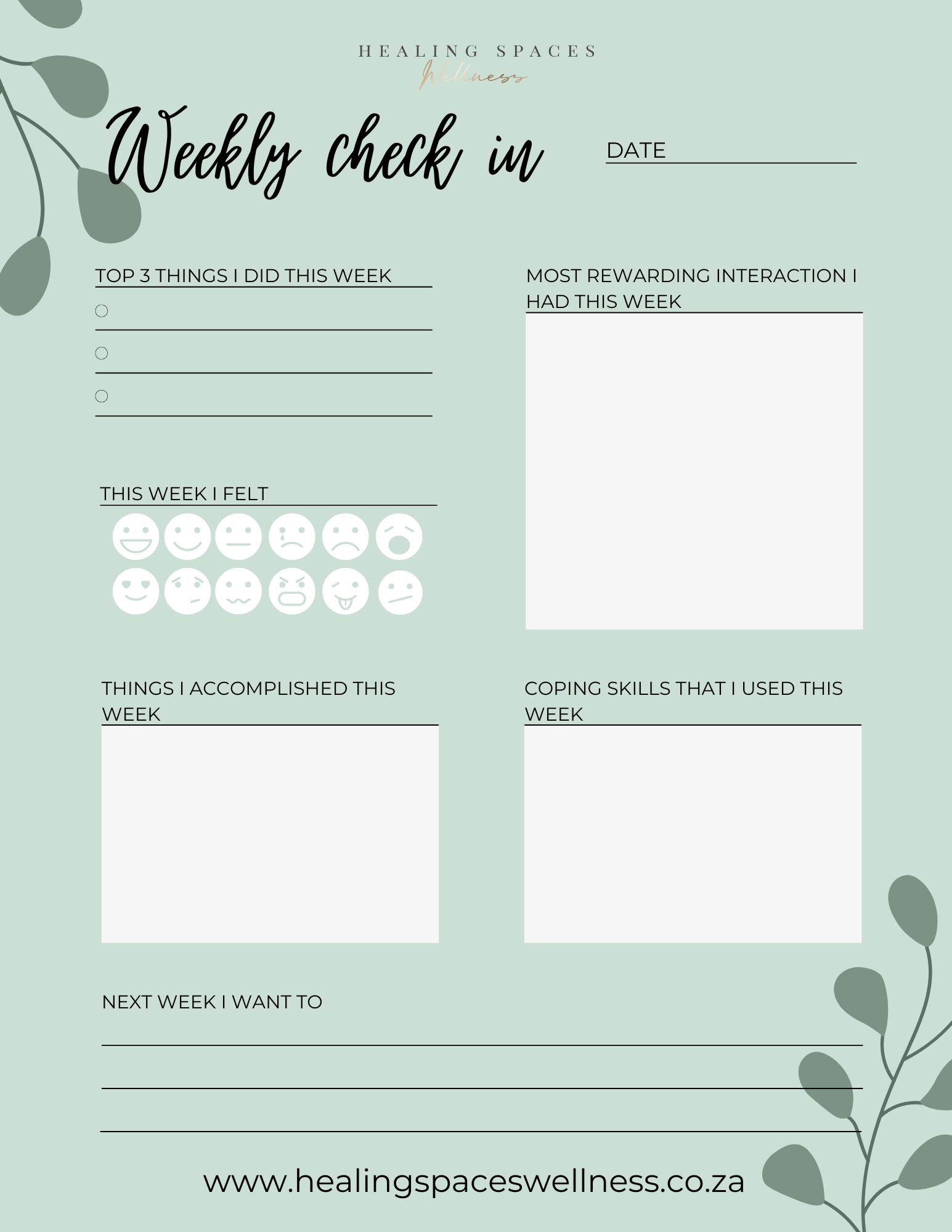 Weekly check in journal